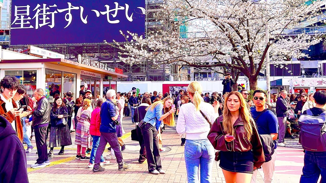 4K HDR Day walking tour around Shibuya in the Spring. Tokyo, Japan ...