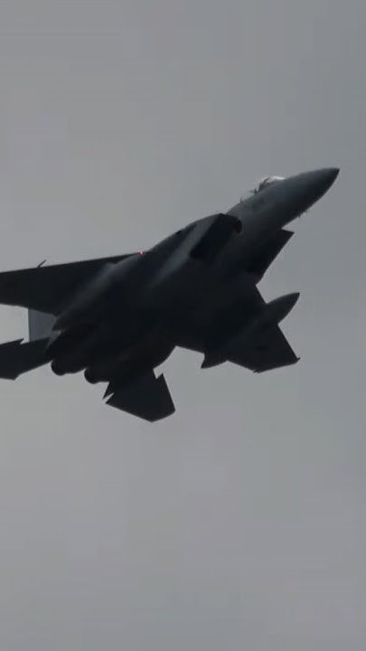 【なんだこれ！】初めて見た、岐阜基地航空祭2023 F-15のピッチオシレーション！ペコペコ機体を上下させる面白い動き！エンジン音もこれまで聞いたこと無い感じです - YouTube