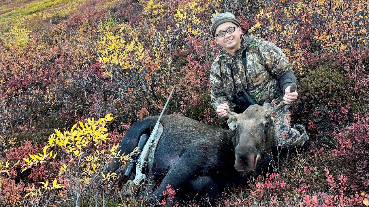 Canada Moose Hunting Season