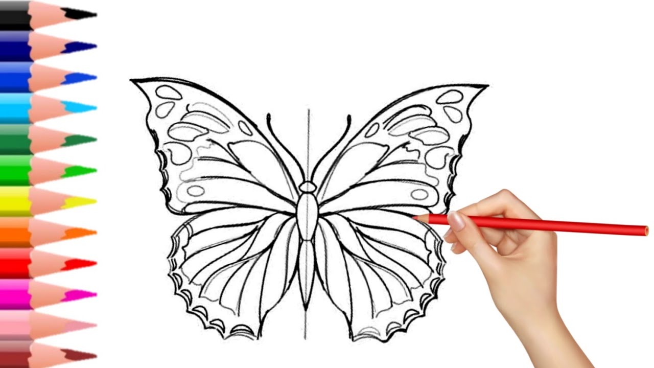 How to draw Butterfly drawing painting and colouring for, Kids drawing ...