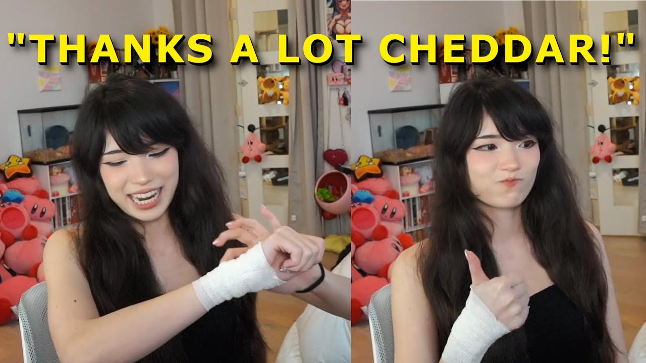 Emiru got hurt looking for Cheddar - YouTube