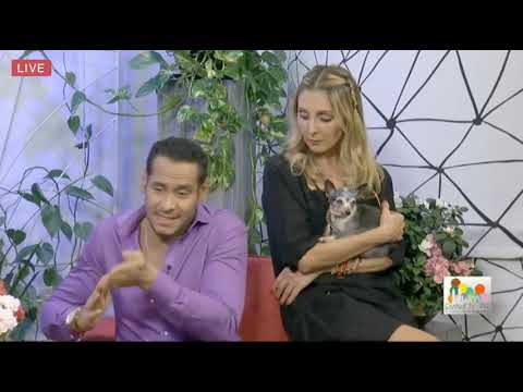 Perronalidades - Tu perro adecuado | Cangeles Refugio | Mariam Luzcan ...