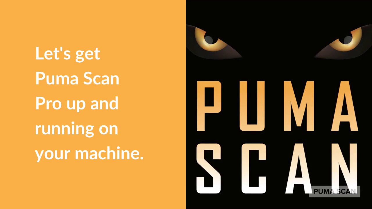 Installation Guide for Puma Scan Pro - YouTube