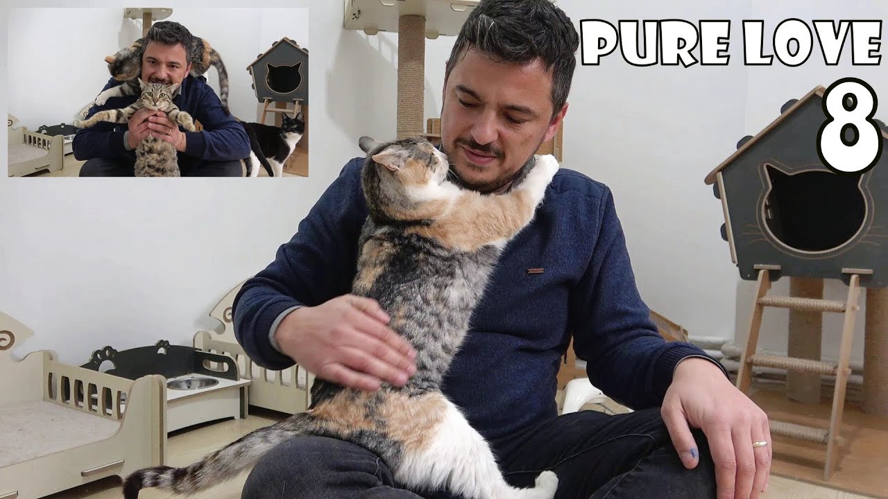 When you rescue a sick cat's life, it will show you what true love is ...