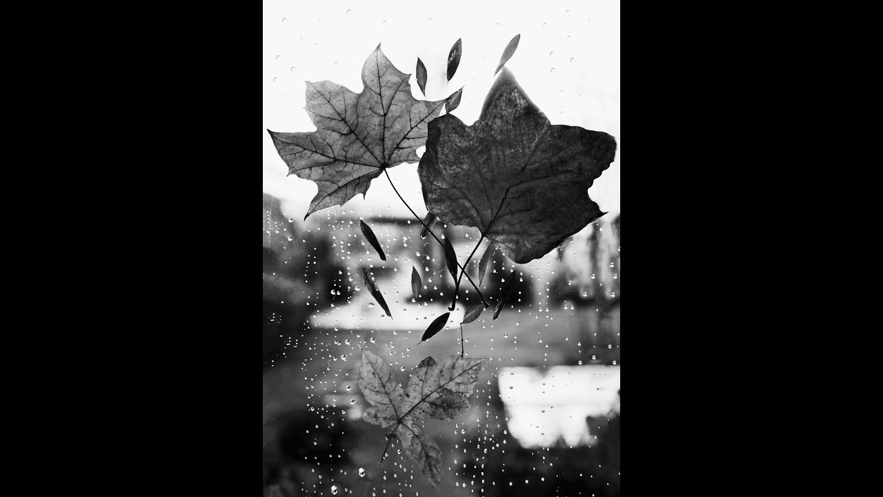 2 Hours Gentle Rain Sound - For Sleeping - YouTube