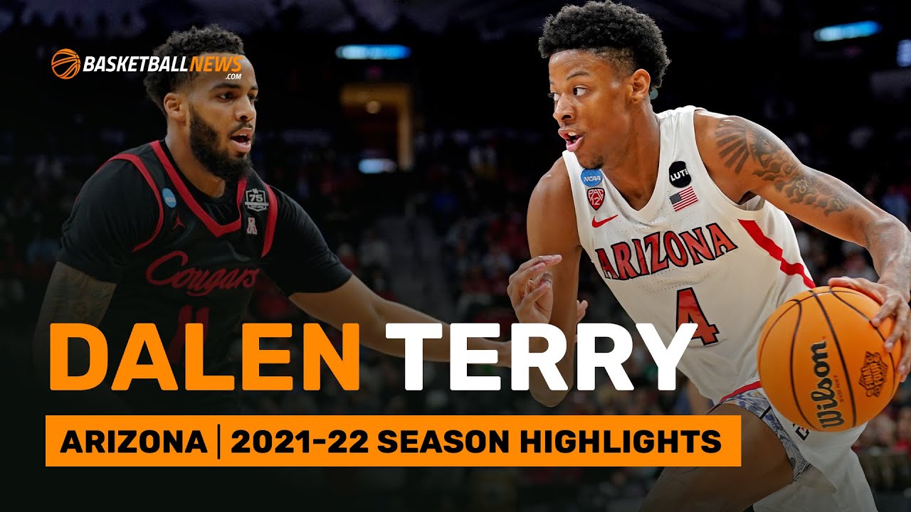 Dalen Terry | Arizona | 2021-22 Season Highlights - YouTube