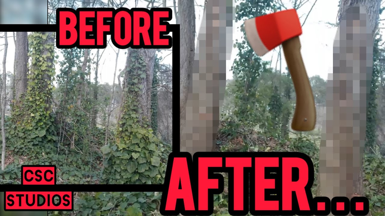 Chopping up Georgia Ivy - YouTube