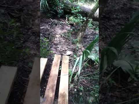 Building a puncheon bridge 1. Florida Trail - YouTube