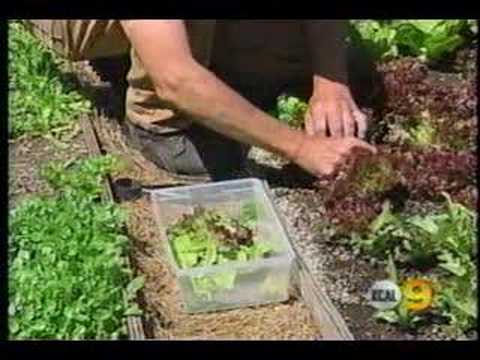 In the Garden (KCBS & KCAL 2006) - YouTube