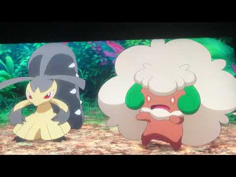 Stunky farts pokemon the movie sercet jungle