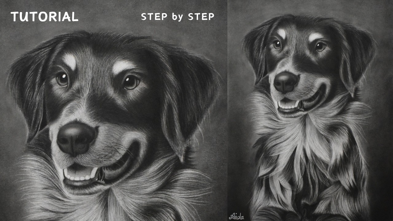 How to draw hyper realistic Dog | Drawing Tutorial - YouTube