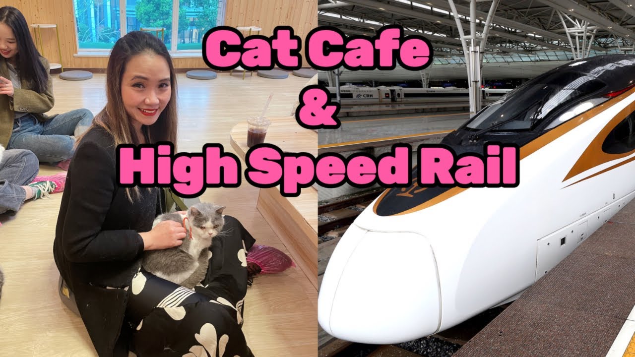 Day 4 & 5: Cat Cafe and High-speed Rail in China (345km/h, business ...