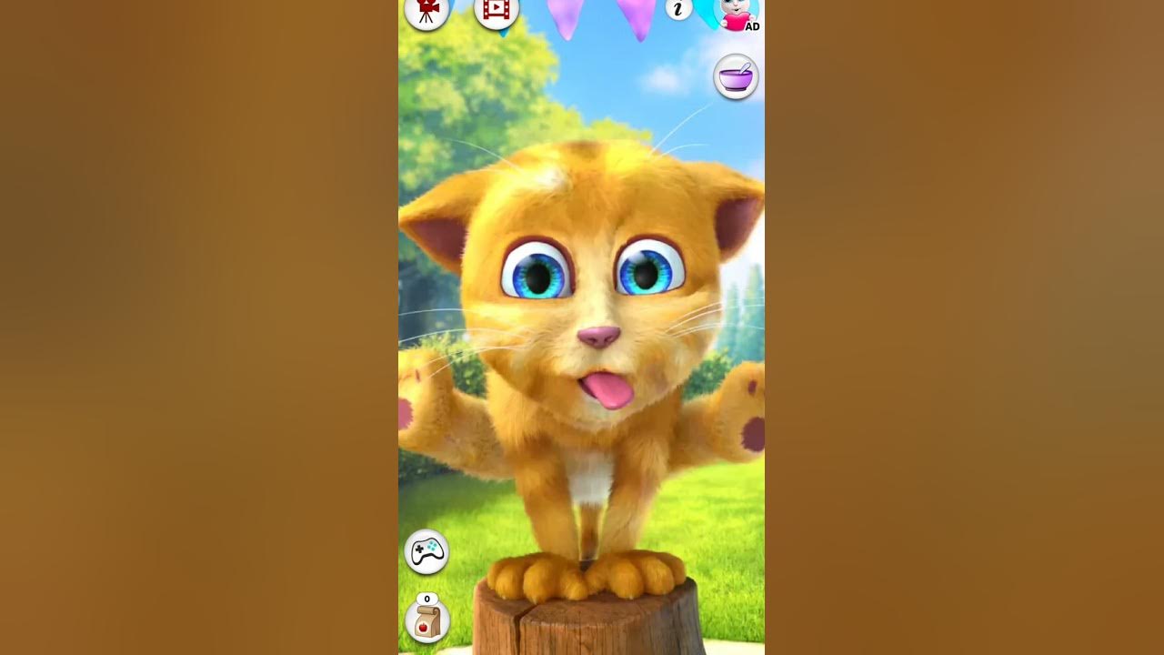 Talking Ginger 2🍎🍍🥭🥥🍑🍌🍏🥪🫔🍟🍔🍕🍋🍉🍓🍒🫐my Talking Ginger 😺 🌮🧆🍆 Funny Ginger🍊🍈🍅 Talking Ginger Birthday