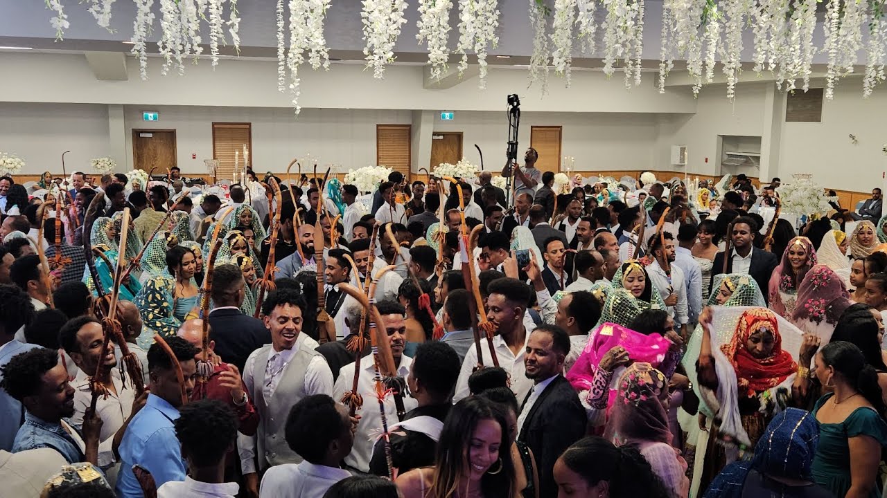 Eritrean bilen wedding of Brhan and Bana in calgary . stage covered by ...