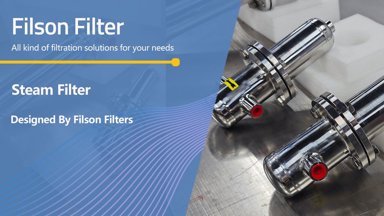 Steam Filter|Stainless Steel 304/316L Steam Filter Housing and Sintered ...