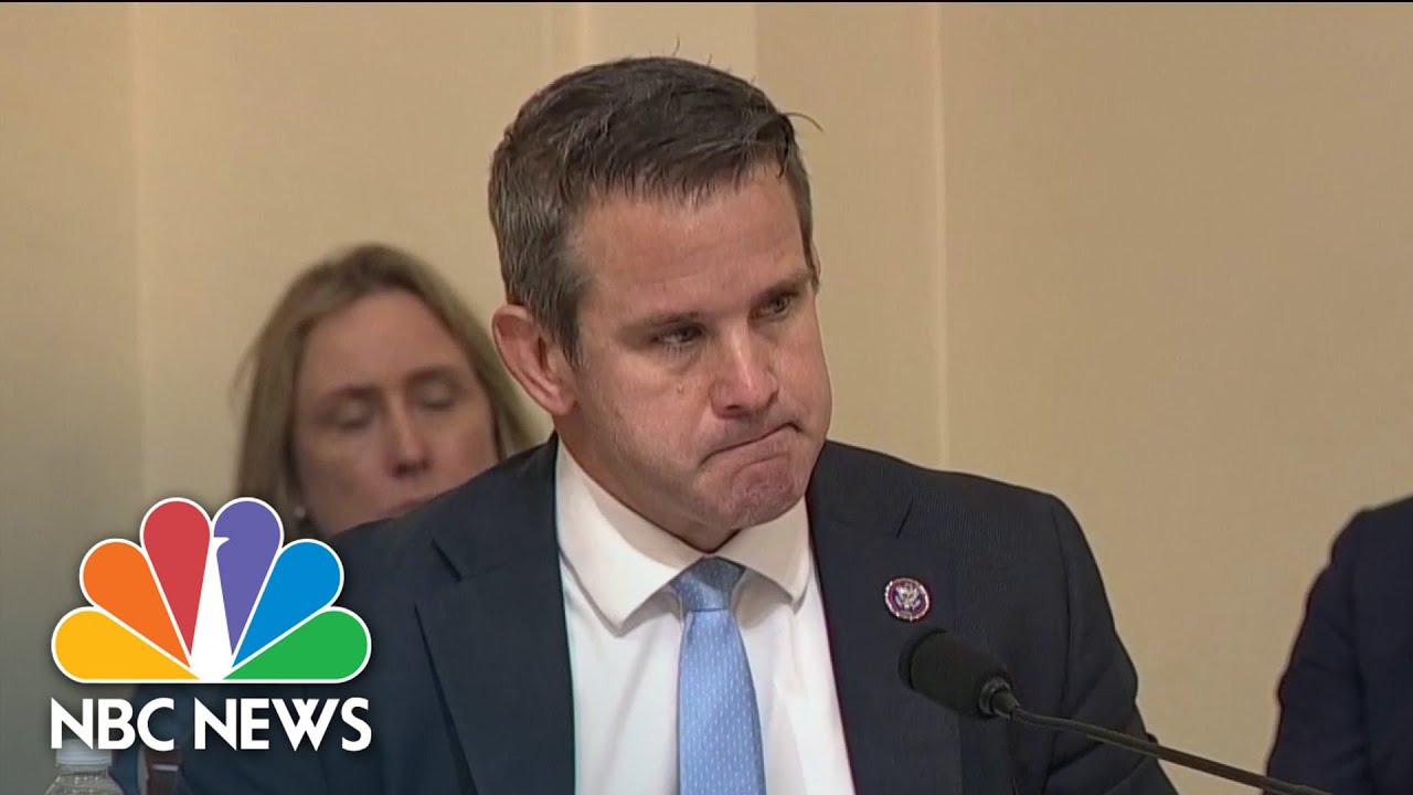 Adam Kinzinger Body