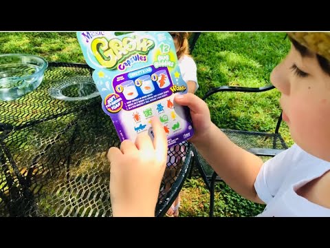 Learning Colors with Magic Grow Bugs Capsules – Fun Science for Kids ...