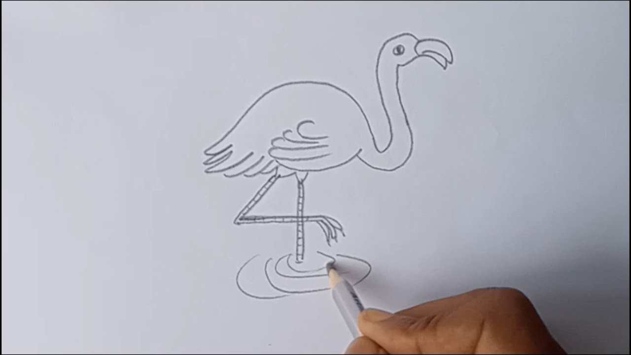 How to draw a crane bird easy step by step crane bird outline drawing ...