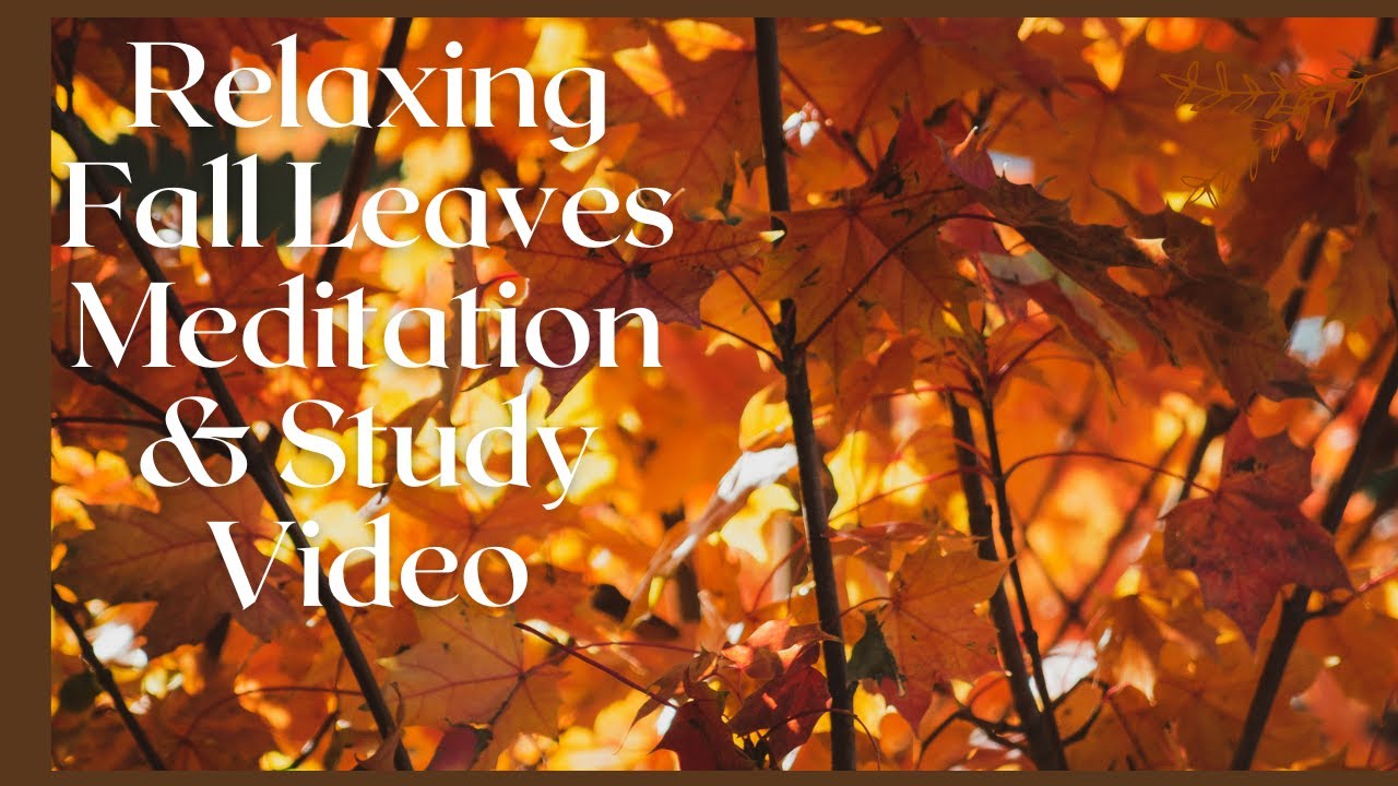Fall Leaves and Country Path - Relaxing Music for Sleep, Studying or ...
