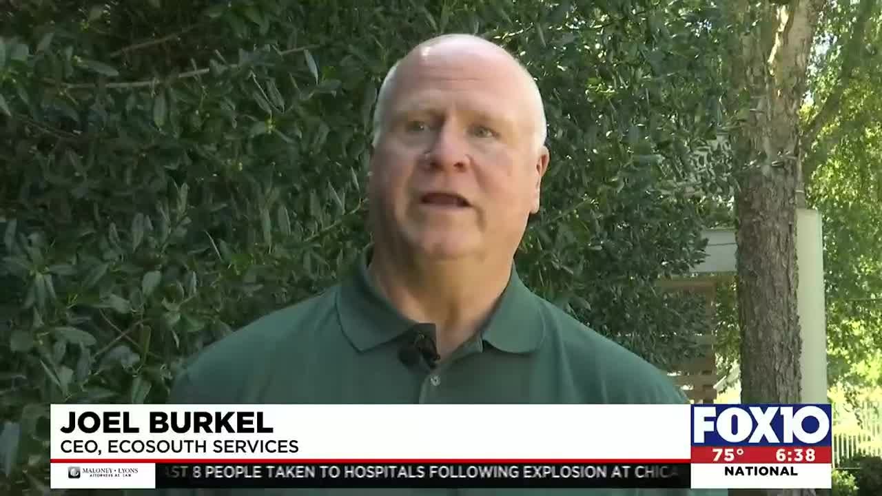 Playground Project: Joe Burkel of EcoSouth Services - YouTube
