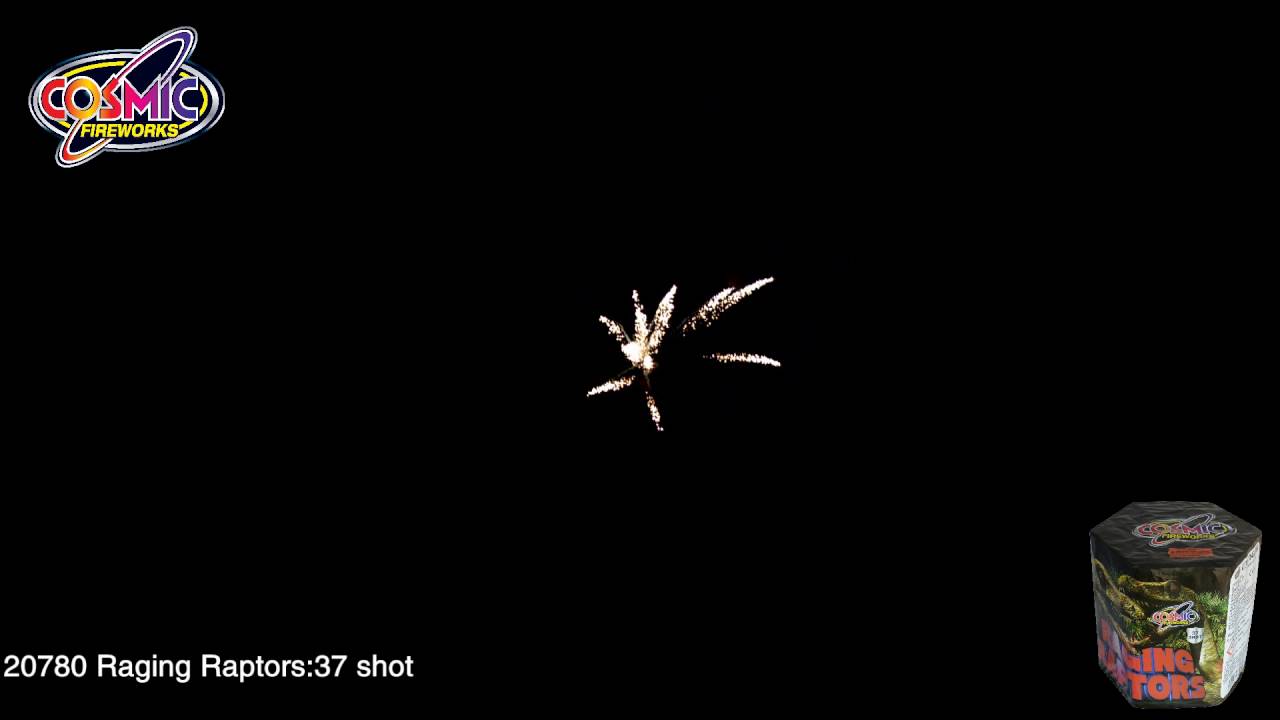 20780 Raging Raptors - YouTube