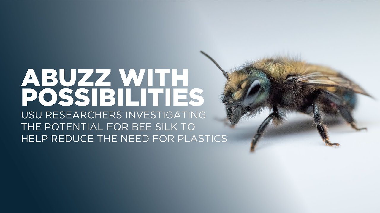 USU Researchers Investigating the Potential for Bee Silk to Help Reduce ...