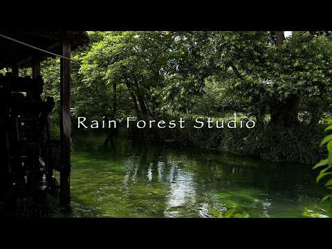Sound of Japan: Waterwheel in Azumino [4K]