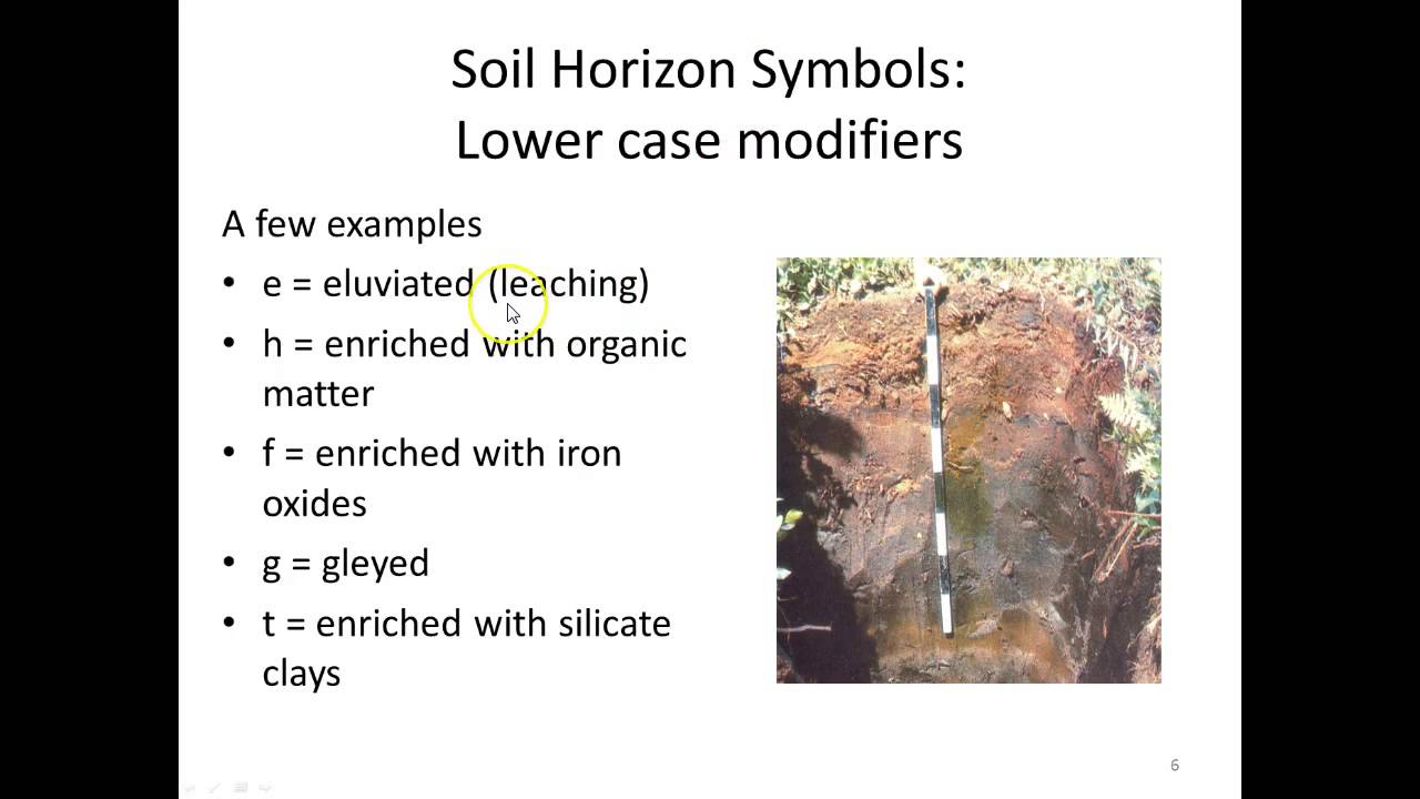 Intro to Soil Horizons & Pedons - YouTube