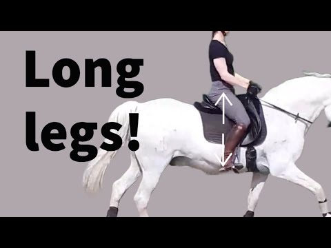 How to keep your legs "long" and still when horse riding? (Improve your ...
