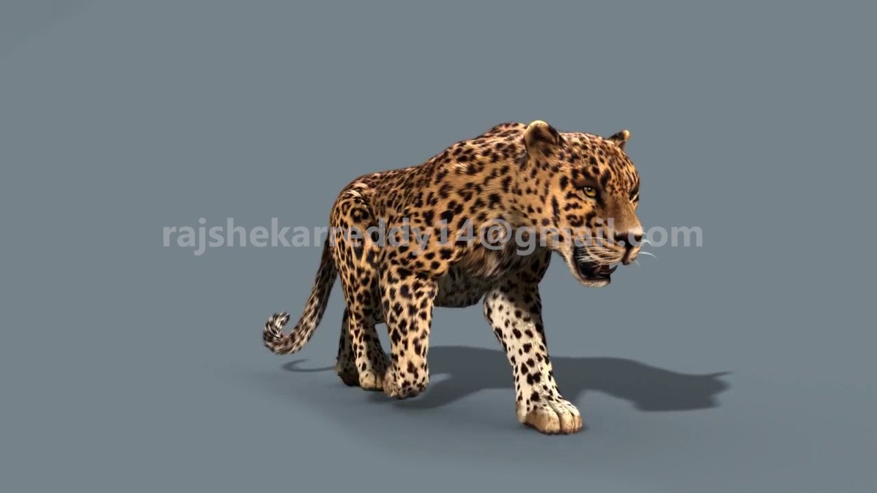 Rajshekar Reddy .A 3D Animation Show reel - YouTube