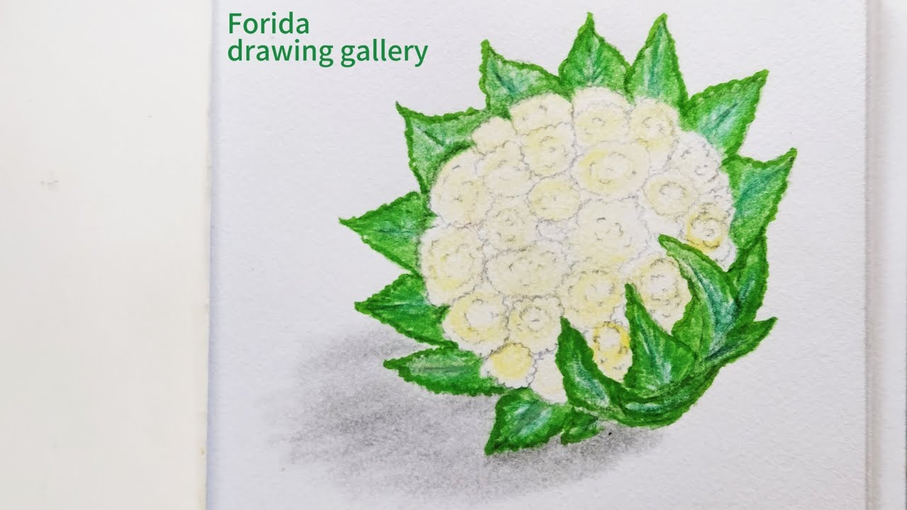 How To Draw A Beautiful Cauliflower Step By Step For Beginners|কিভাবে ...