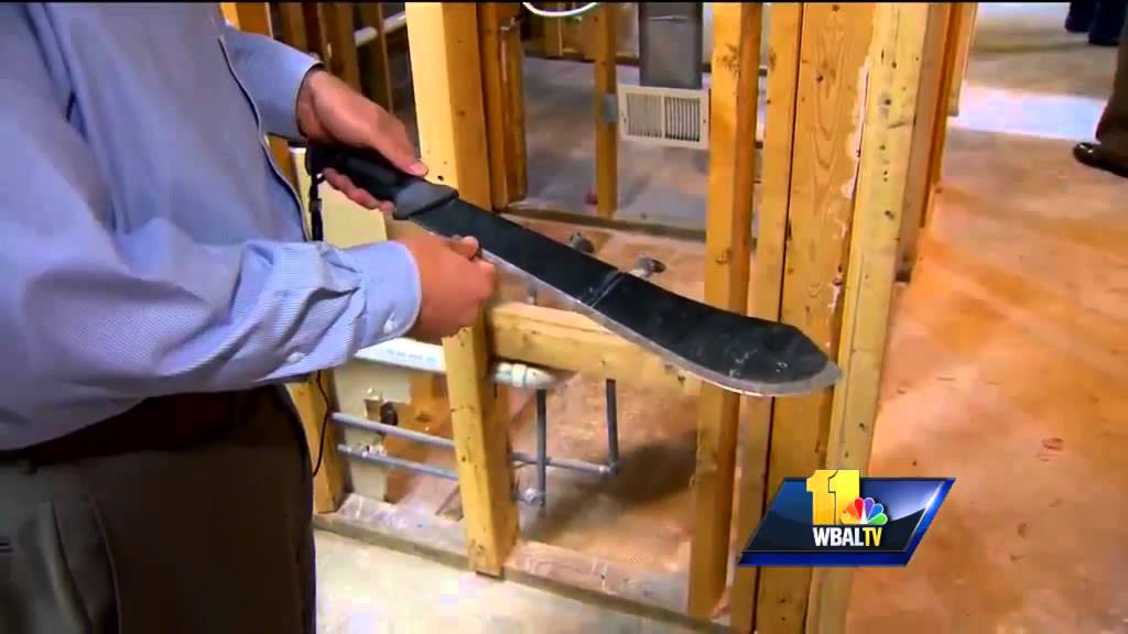 Snake-infested Annapolis home rattles owners - YouTube
