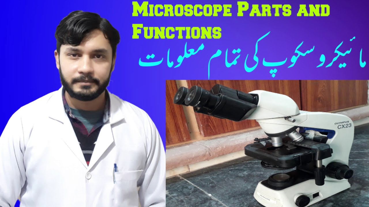Microscope parts and functions ||How to use microscope - YouTube