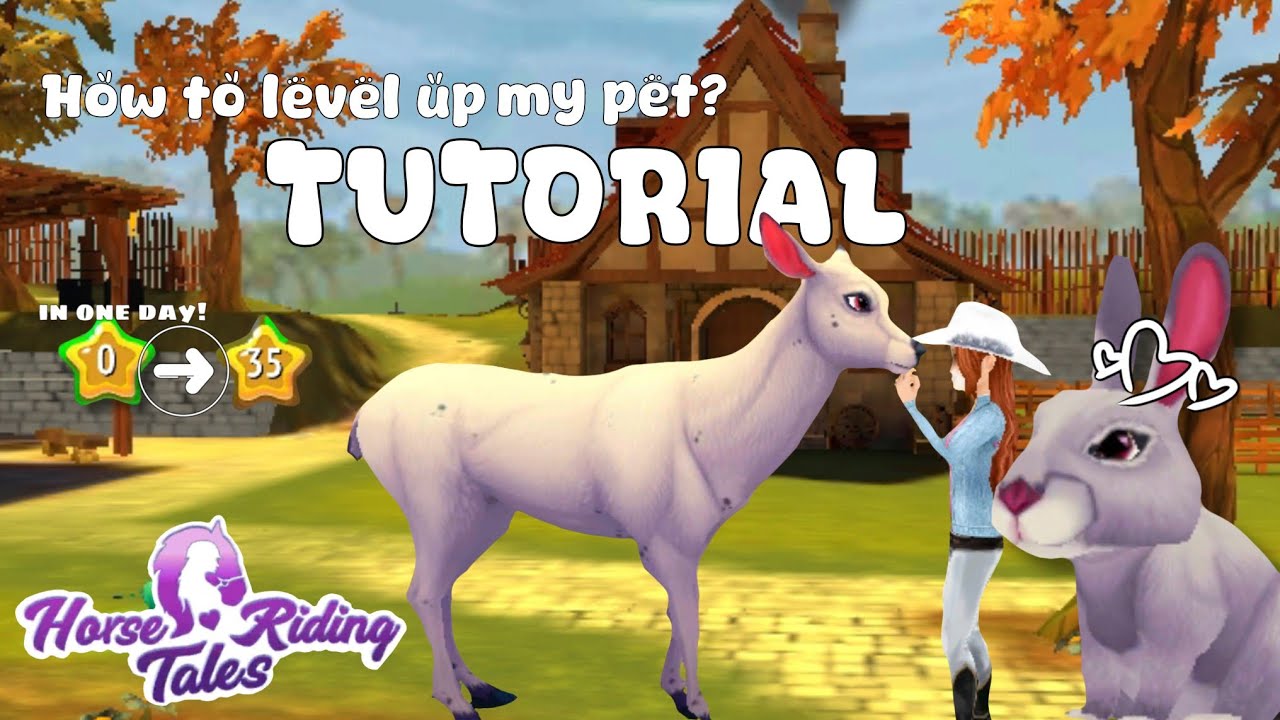 Level up quickly your pet! | TUTORIAL | ~ Horse Riding Tales ~ - YouTube