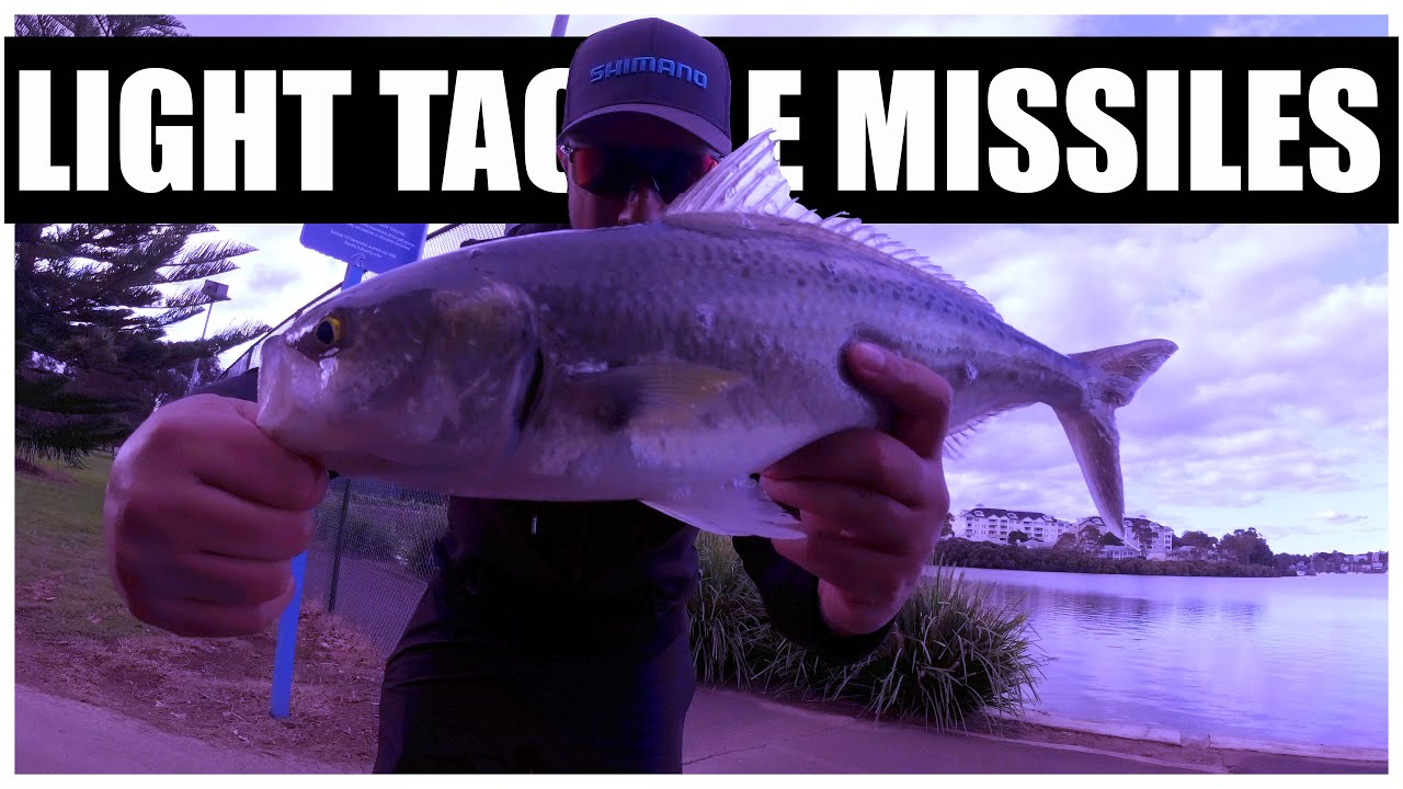 VLOG #1 Targeting Light Tackle Missiles With The 23 Shimano Vanquish ...