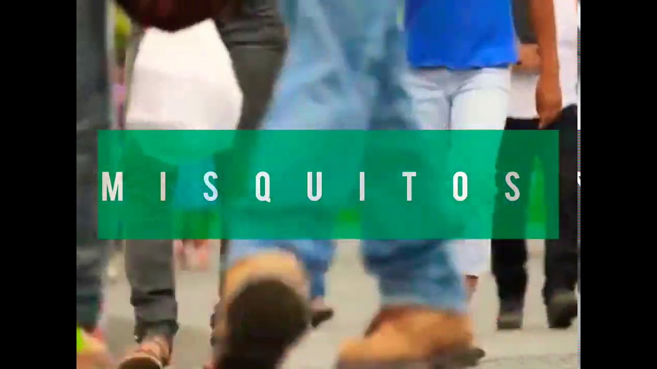 Misquitos, grupo étnico de Honduras. - YouTube