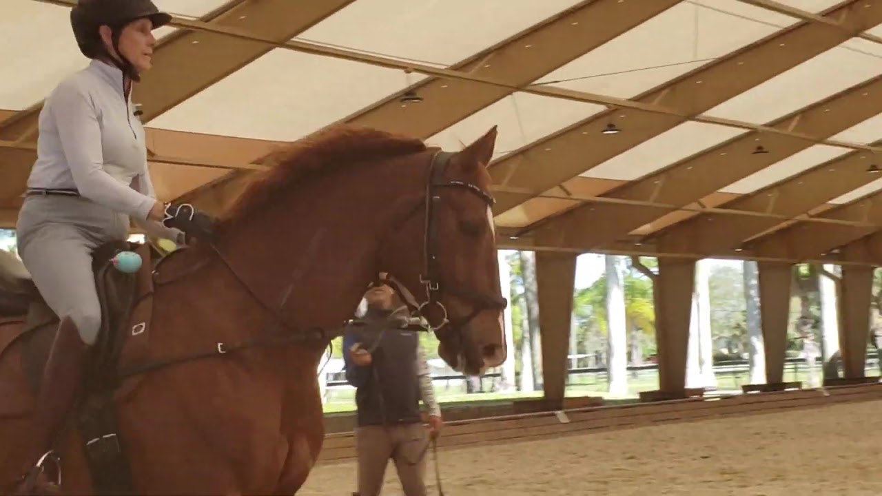 Lunge line lesson - YouTube