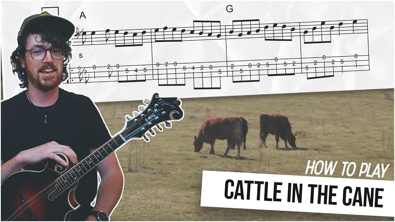 How to Play "Cattle in the Cane" Chords, Melody, Variations ...
