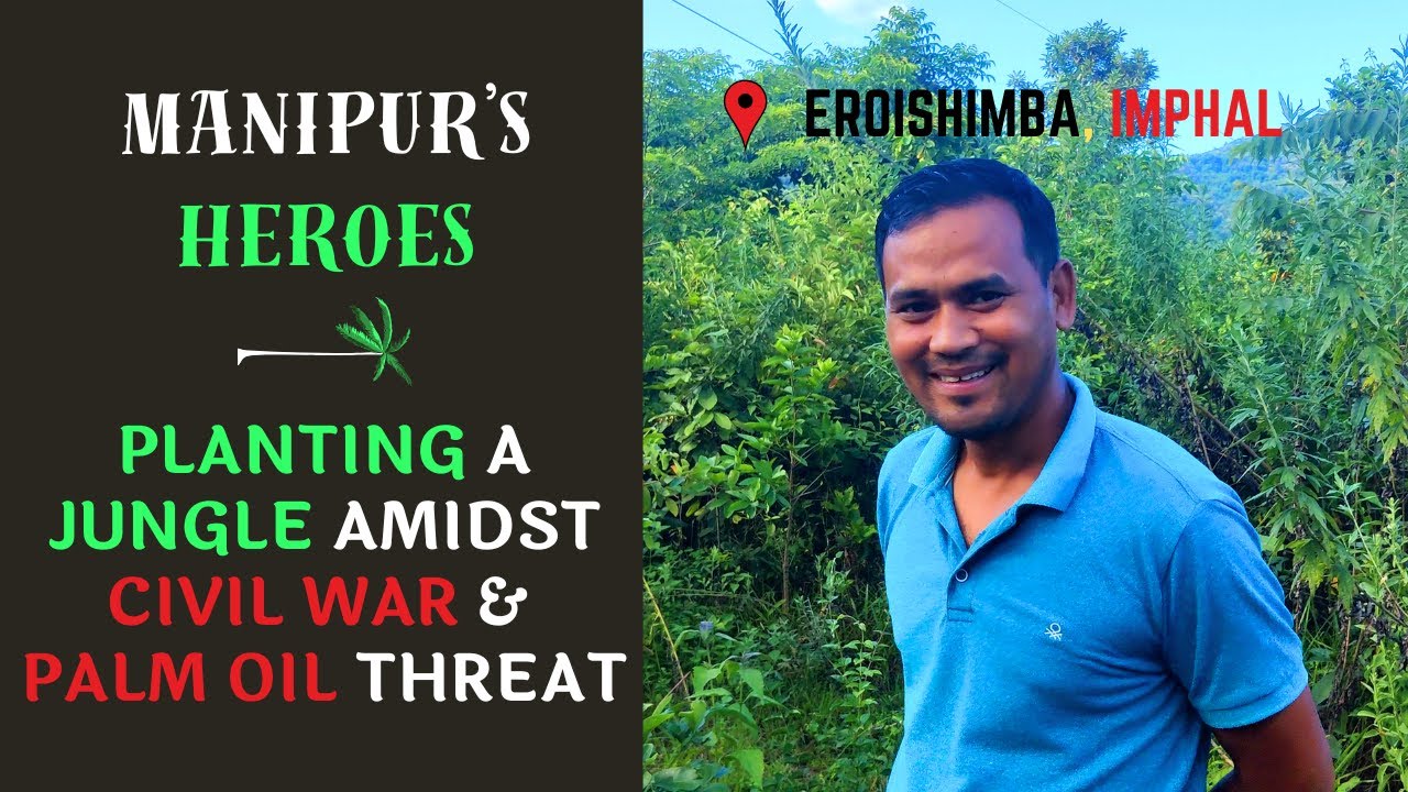 Manipur's Heroes - The Man who Replanted a Forest amidst War and Palm ...
