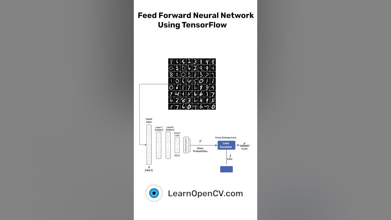 #shorts Feedforward Neural Network - YouTube