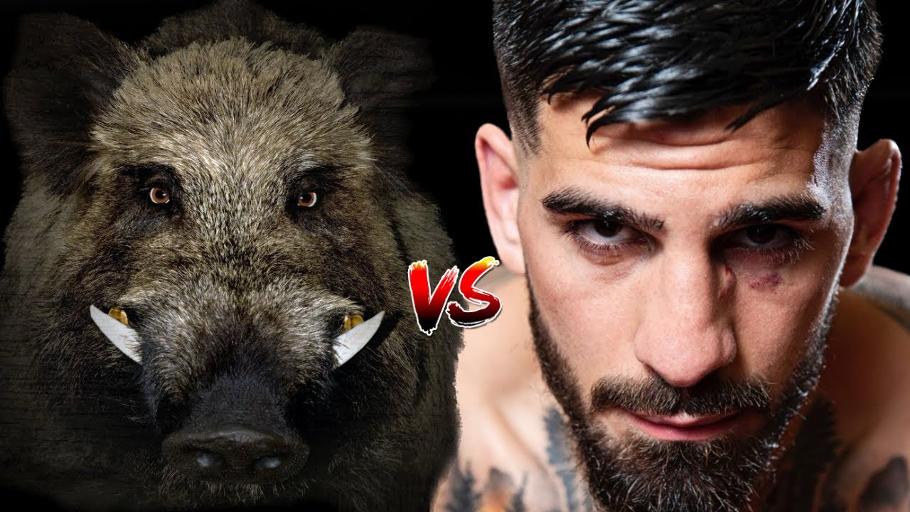 ¿PUEDE UN HOMBRE GANAR a un JABALÍ CUERPO A CUERPO? - YouTube