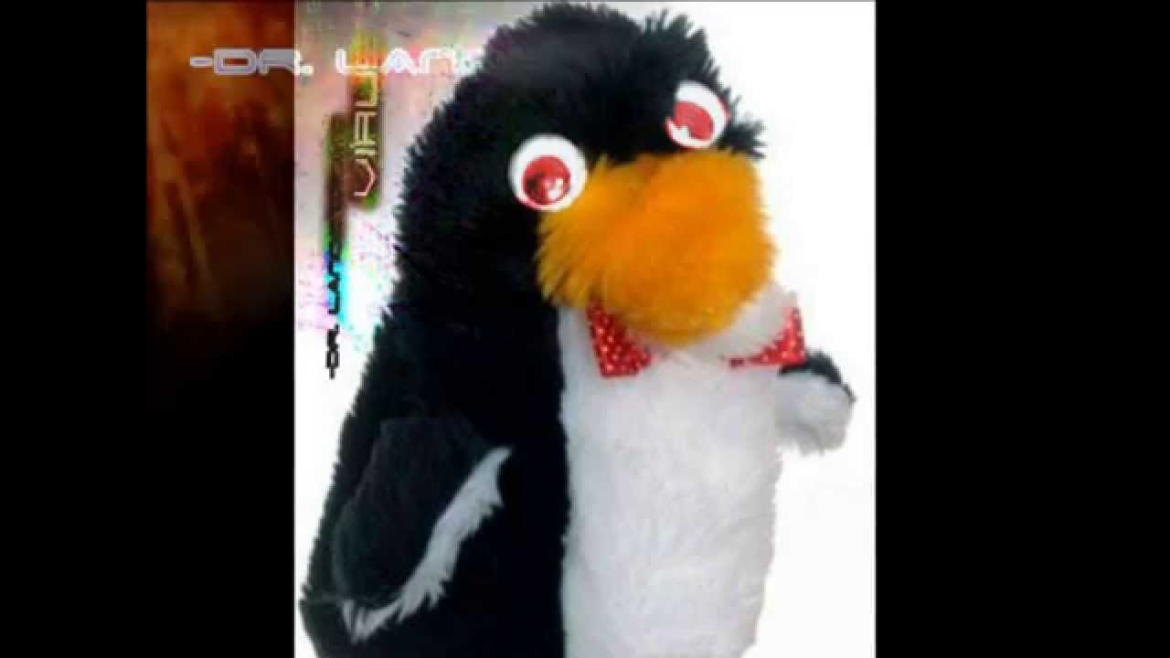 DR. LANDSTROM'S VIRUS - MR. FLIBBLE - YouTube