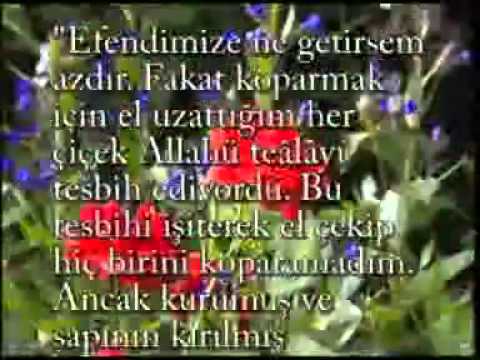 Hak Dostlarından Aziz Mahmud Hüdayi