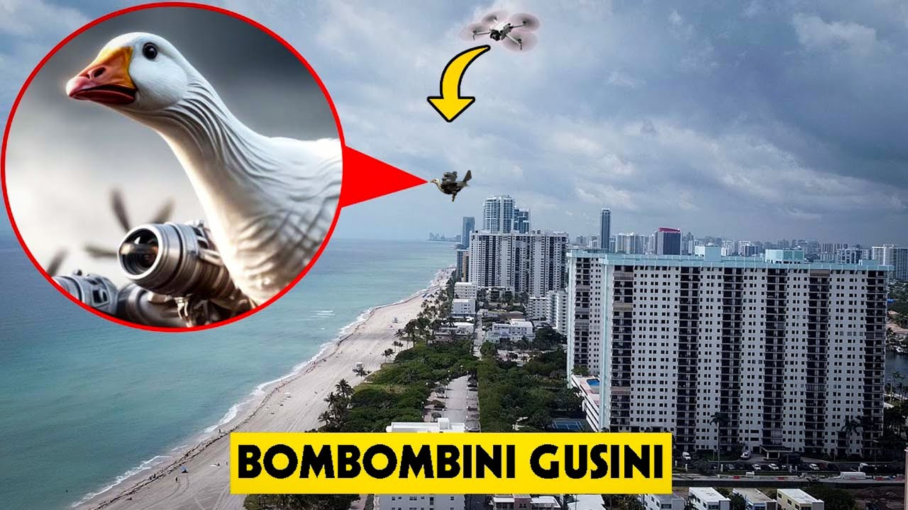 DRONE CATCHES BOMBOMBINI GUSINI IN REAL LIFE (BOMBOMBINI GUSINI ...