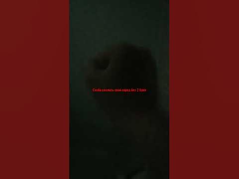 есть смельчаки - YouTube