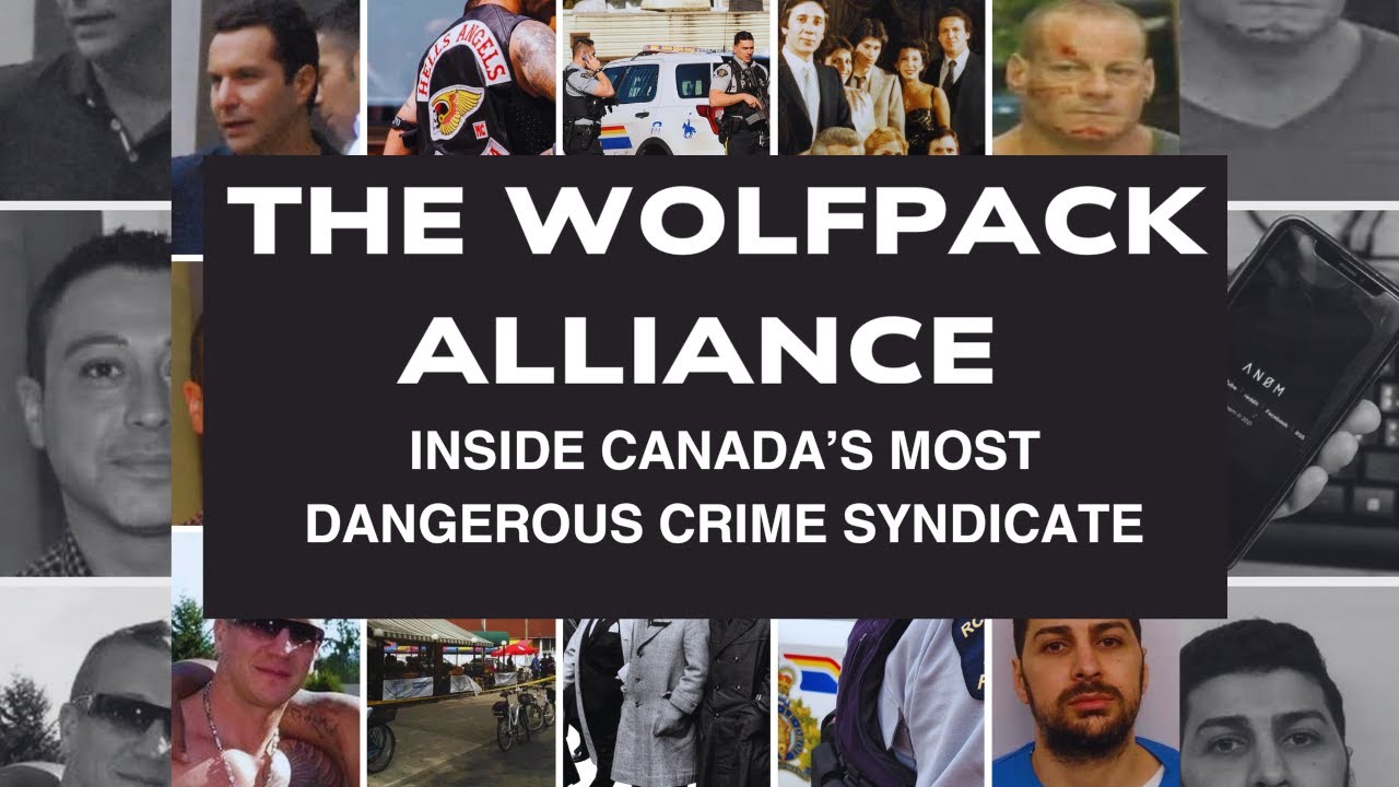 Inside Canada’s Most Dangerous Crime Syndicate: The Wolfpack Alliance ...