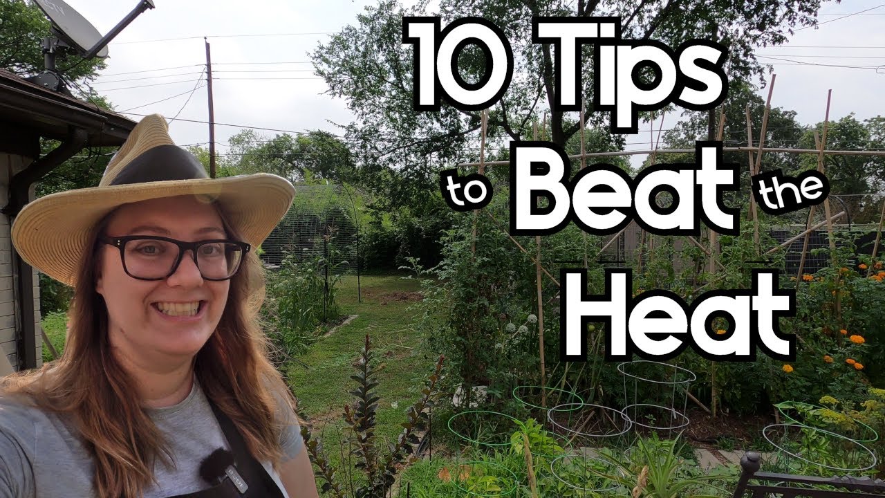 Surviving the Heat- 10 tips for you and your garden to beat the heat ...