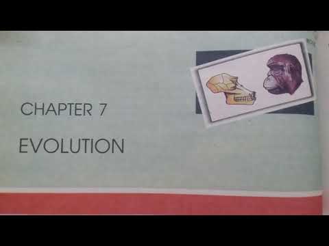Ch 7 Evolution Class 12 Ncert (reading only) biology - YouTube