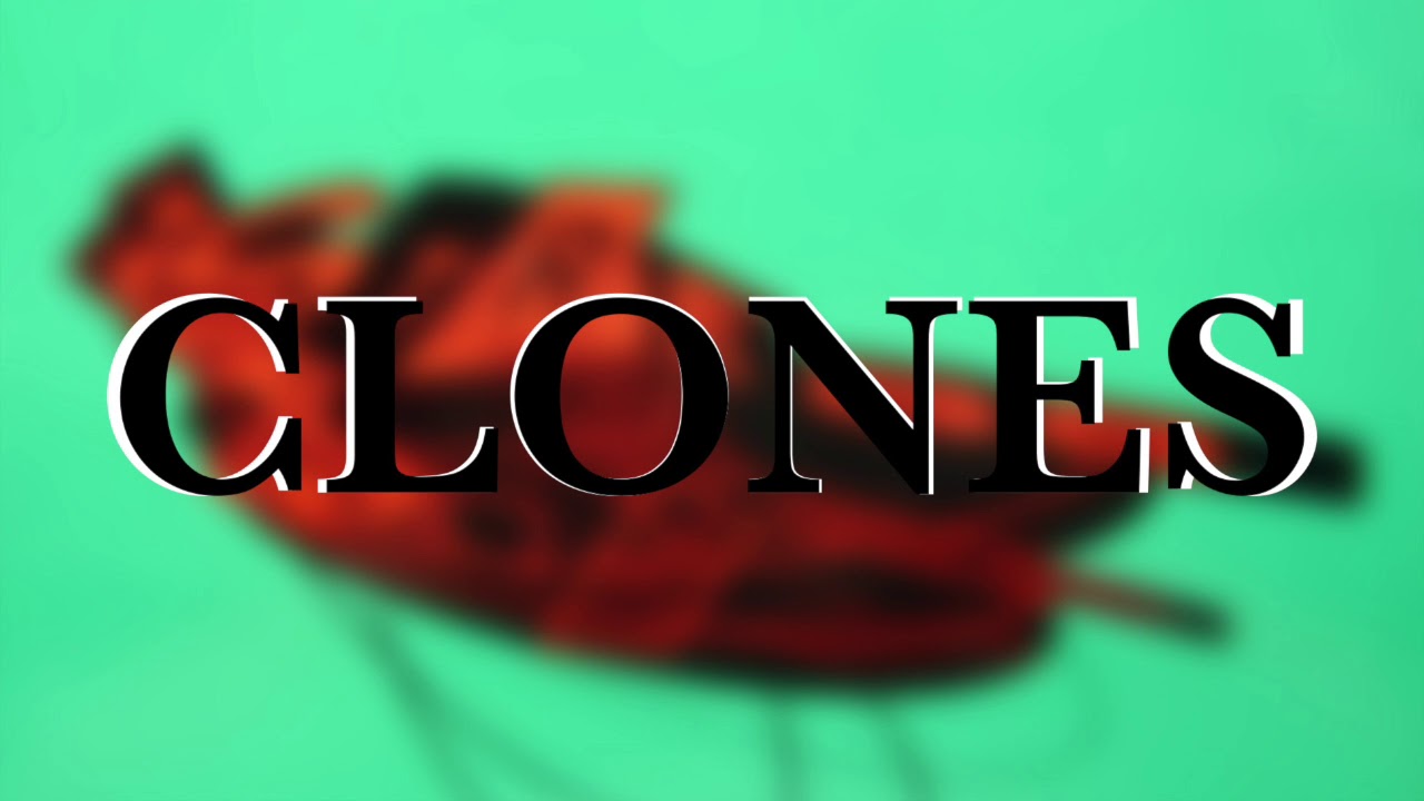 PKA - Let Me Hear You Say Yeah (Clones Remix) - YouTube