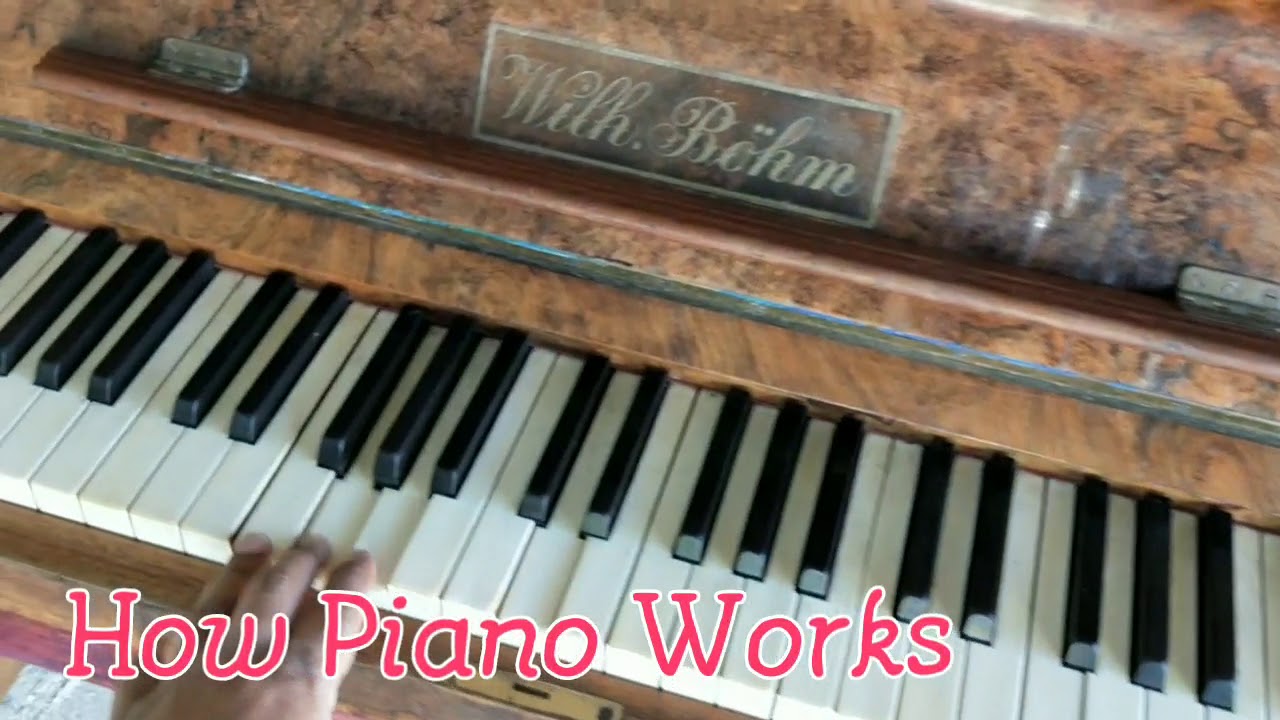 How Piano Works | how Piano makes sound | grand piano insider view ...